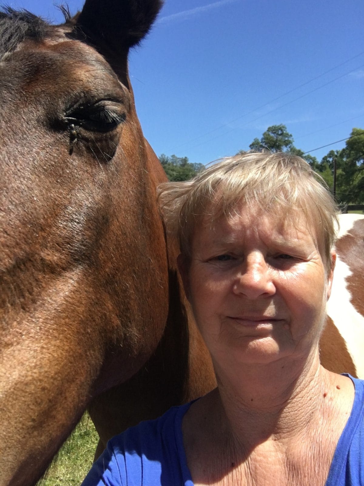 About - American River Conservancy